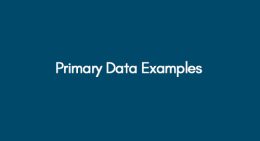 How to Use Primary Data in Your Dissertation| Examples